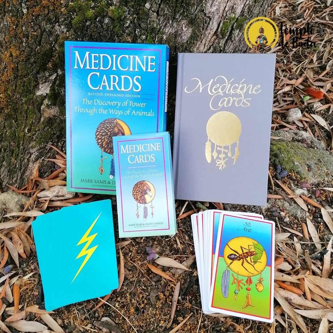 Kit Tarot Medicine Cards (Cartas Xamânicas) de Jamie Sams e David ...