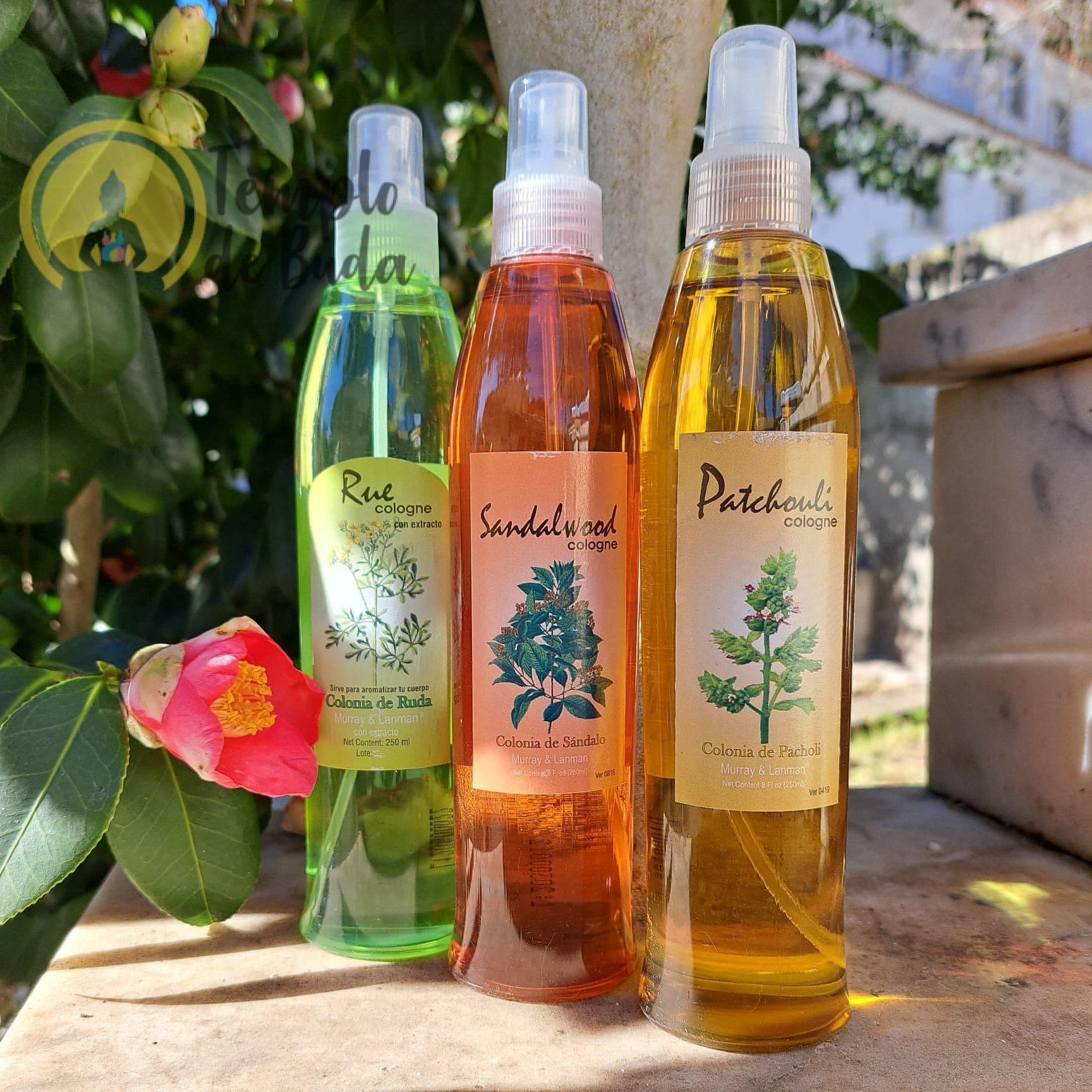 Palo Santo Varitas De Incienso Natural Sailing 180 Unidades Fragancia ...